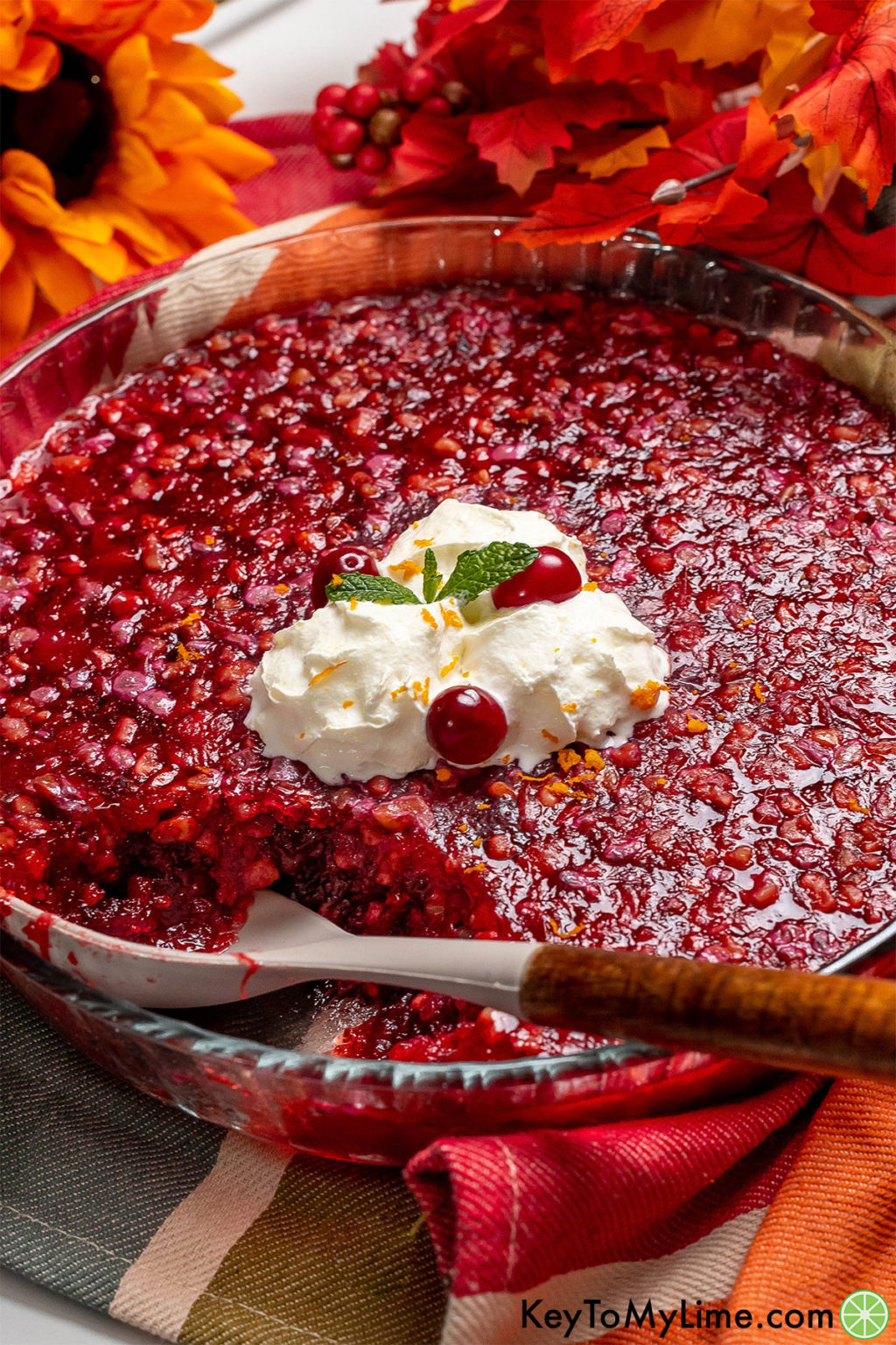 Grandma’s BEST Cranberry Jello Salad {VIDEO} - Key To My Lime